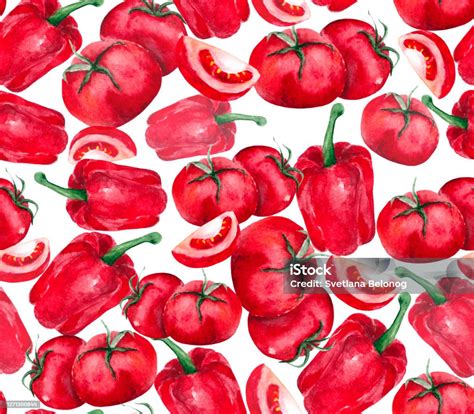 붉은 토마토와 고추의 육즙 과일과 매끄러운 패턴 직물 배경 화면 및 포장을위한 아름다운 야채와 수채화 배경 고추류에 대한 스톡 벡터 아트 및 기타 이미지 Istock