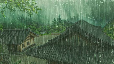 안개가 자욱한 숲속 지붕에 폭우로 불면증 극복 잠을 편안하게 해주는 비 Youtube
