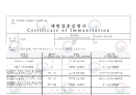 예방접종도우미 예방접종 증명서 온라인 발급방법 인쇄 및 Pdf 파일 저장하기 네이버 블로그
