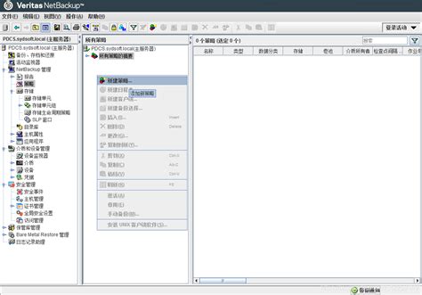 veritas netbackup8 1 1设置备份 勤奋的树懒的博客 csdn博客