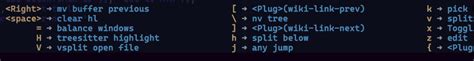 key sorting · issue 25 · folke which key nvim · github