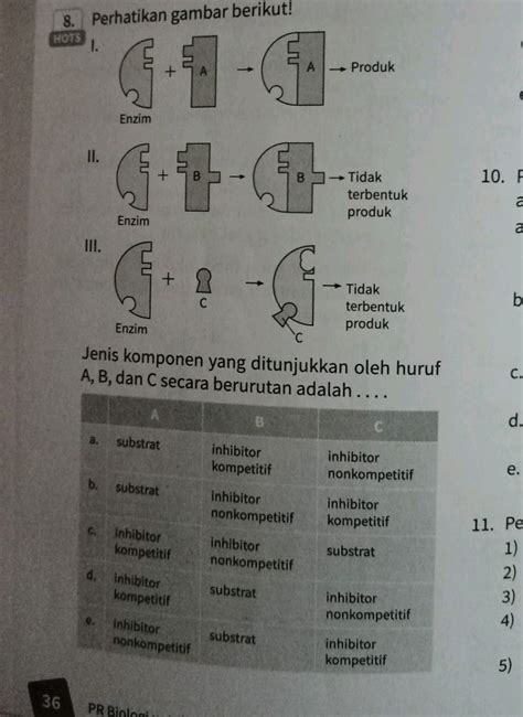 8 Perhatikan Gambar Berikut Hors I II III StudyX