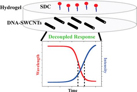 Decoupling Individual Optical Nanosensor Responses Using A Spin Coated