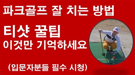 파크골프 잘 치는 방법 티샷 꿀팁 Youtube
