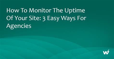 How To Monitor The Uptime Of Your Site 3 Easy Ways For Agencies Instawp