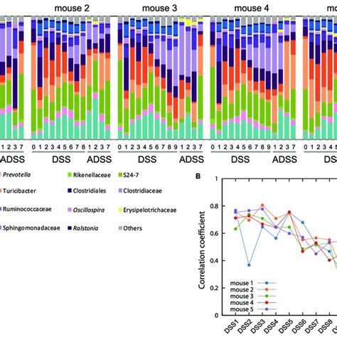 Fecal Sample 16s Amplicon Sequencing Analysis A Relative Abundance Of Download Scientific