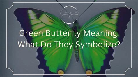 Green Butterfly Meaning What Do They Symbolize