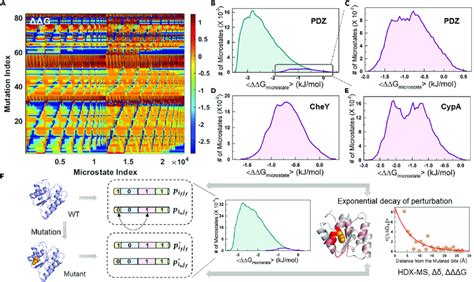 Mutations Induce Conformational Redistribution A Differences In Free