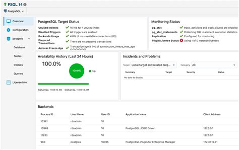 Getting Started With The Postgresql Plugin For Oracle Enterprise Manager Integration Plumbers