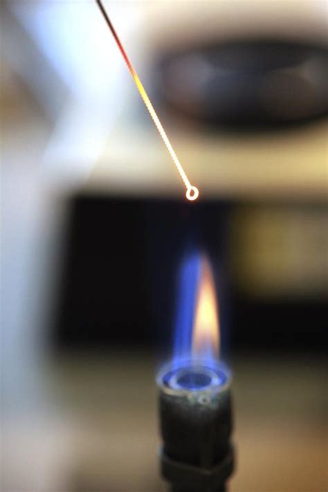 Sterilising A Loop With A Bunsen Burner By Science Photo Library