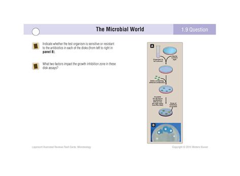 Microbiology Flashcards Memorang