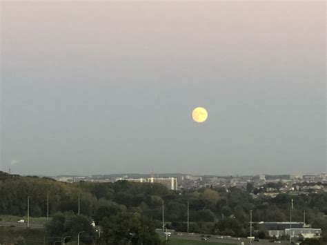 Pin Van Ridha Riahi Op Rilou