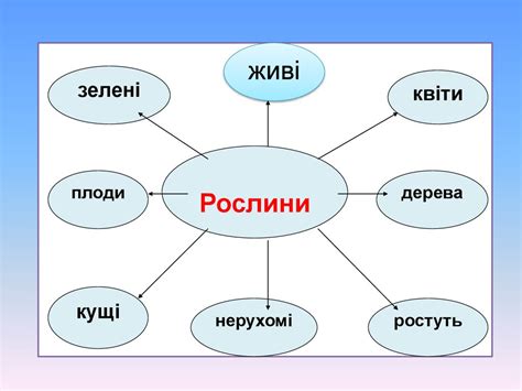 Квіткова рослина Тема 3 презентация онлайн