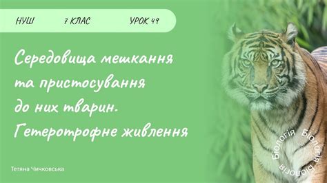 Середовища мешкання та пристосування до них тварин Гетеротрофний тип живлення Youtube