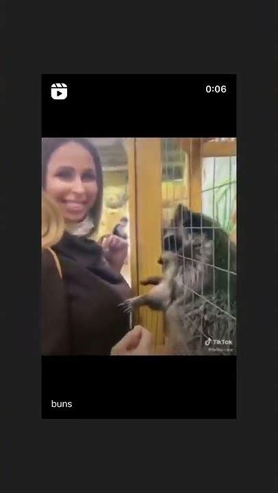 Raccoon Feels Up Tits Raccoon Has More Sex Than Everybody Smokin Hot