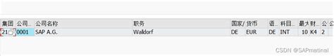 Sap Abap 动态选择屏幕sap Screen Dynmic Text Csdn博客