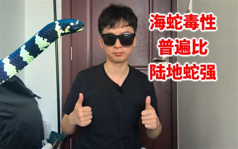 为什么海蛇毒性普遍比陆地蛇强海蛇毒性强大秘诀是什么 龙雅不爱吃 龙雅不爱吃 哔哩哔哩视频