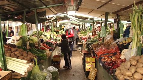 Телевизија 24 Владата ги фати во лага увозниците на овошје и зеленчук книжеле лажни фактури