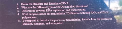 Solved Know The Structure And Function Of RNA What Chegg