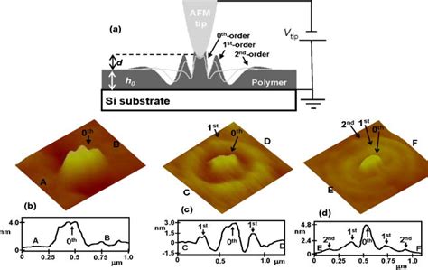 Micro∕nanoscopic Patterning Of Polymeric Materials By Atomic Force Microscope Assisted