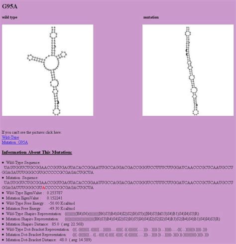 Single Point Mutation Prediction In The 5utr Ofhcv By Rnamute A Download Scientific Diagram
