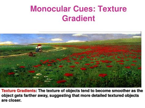 What Is Texture Gradient In Psychology At Matthew Tindal Blog