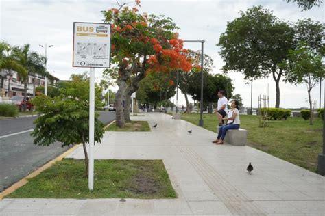 Corrientes Sin Colectivos Por El Paro General De La Cgt