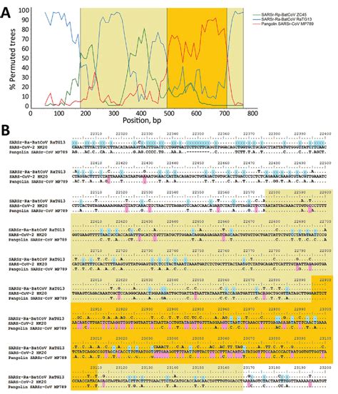 bootscan analysis and nucleotide sequence alignment for sars cov 2