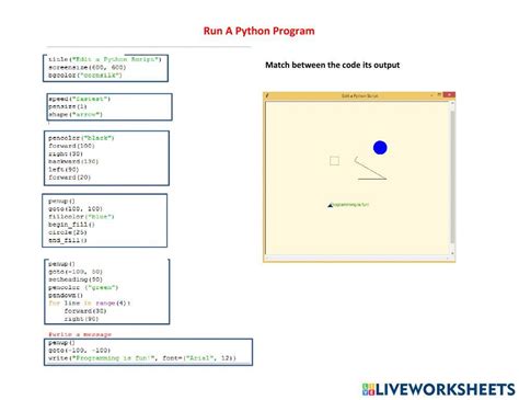 Python Output Online Exercise For Live Worksheets