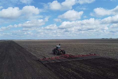 Цены на пшеницу до 115 тыс тенге тонна ждут аграрии в этом году