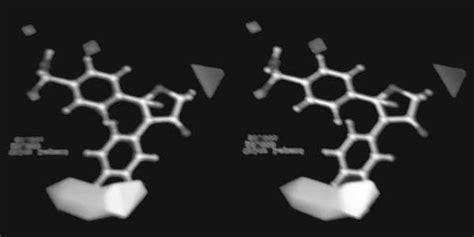 A Stereoview Of Comfa Steric Stddevcoeff Contour Plots From Alignment