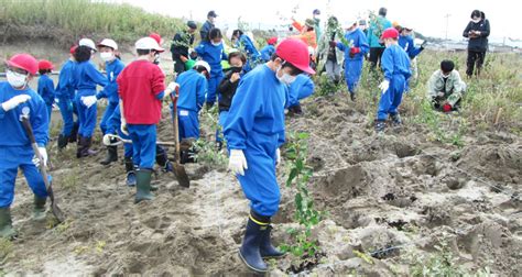 子どもたちと松浜海岸にグミの木を植樹 投稿リポート ライオン誌日本語版ウェブマガジン