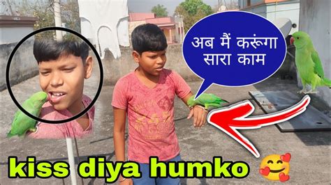 Kitna Cute Parrot Hain 🥰 Kiss Bhi De Diya Youtube