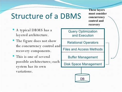 database management systems dbms