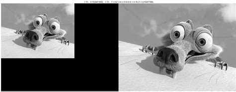 Fpga图像处理之常用图像缩放算法 Ssy的小天地