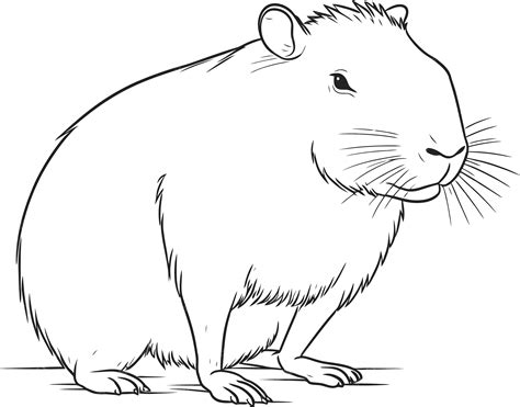 추적선이 있는 쥐 색칠 페이지 벡터 기본 간단한 귀여운 만화 카피 바라 개요 흰색 배경에 고립 어린이 색칠 페이지 Png 일러스트 및 벡터 에 대한 무료 다운로드