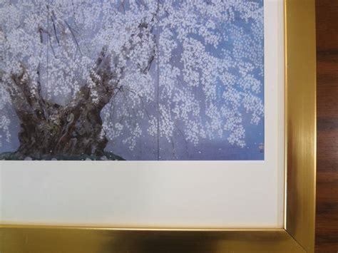 人気 中島千波 坪井の枝垂桜貴重な画集から新品額装PayPayフリマ