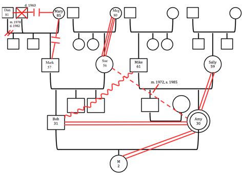 Achieving Relational Dynamics In Genogram Gojs Northwoods Software