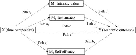 conceptual diagram multiple parallel mediator model using process