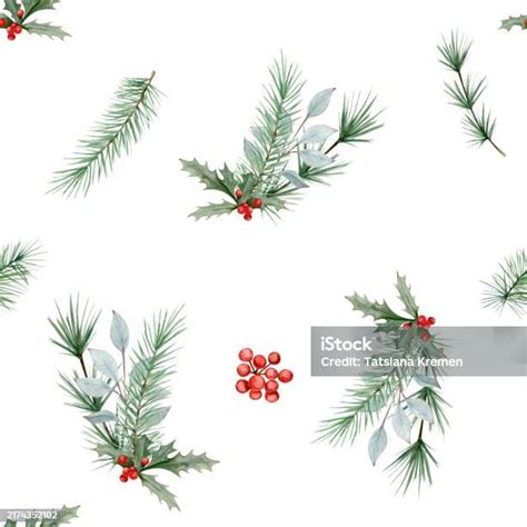 흰색 배경에 가문비 나무와 소나무 가지 호랑가시나무 나무와 빨간 열매의 꽃다발이 있는 완벽한 수채화 패턴 호랑가시나무에 대한 스톡 벡터 아트 및 기타 이미지 Istock