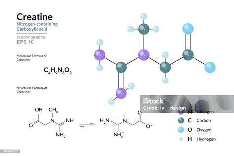 크레아틴 건강 보조 식품 스포츠 영양 카르복실산을 함유한 질소 구조 화학식 및 분자 3d 모델 C4h9n3o2 색상 코딩이 있는 원자 벡터 일러스트 레이 션 3차원 형태에