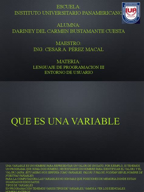 Lenguaje De Programacion Iii Pdf Variable Informática Lenguaje