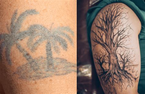 Tree Tattoo Meaning And Styles A Handy Guide Symbol Sage
