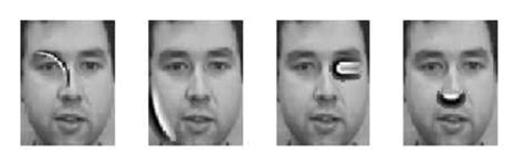Filters Used For Modeling The Faces 1aanisotropic Gaussian And Download Scientific Diagram