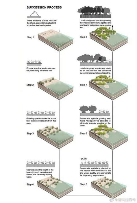 Diagram Of Different Types Of Trees