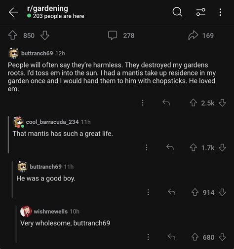 helpful gardening tip r rimjob steve