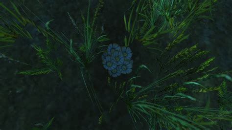 A Noble Brew Quest Wotlk Classic