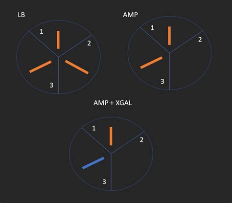 Solved 6 A 5 Pts In A Publishable Table Format Present