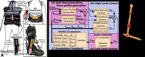 A A Participant Wearing The Cable Driven Ankle Exoskeleton Referred Download Scientific