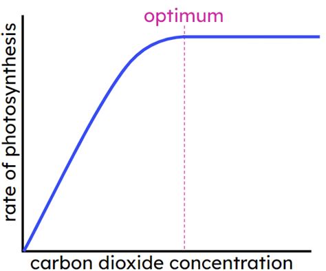 Factors Affecting The Rate Of Photosynthesis Higher Edexcel Ks4 Y11 Biology Lesson Resources